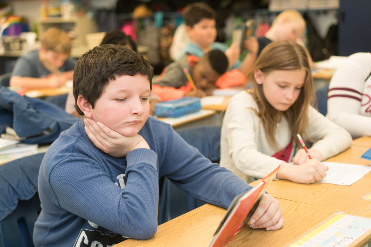 Gallery - Taft Overviews